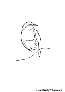 Robin Drawing - How To Draw A Robin Step By Step