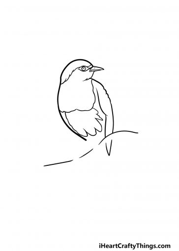 Robin Drawing - How To Draw A Robin Step By Step