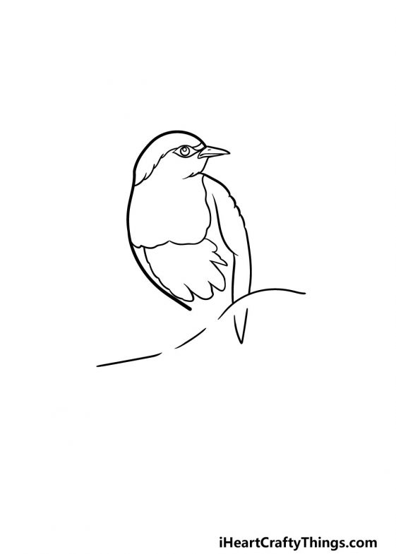 Robin Drawing - How To Draw A Robin Step By Step
