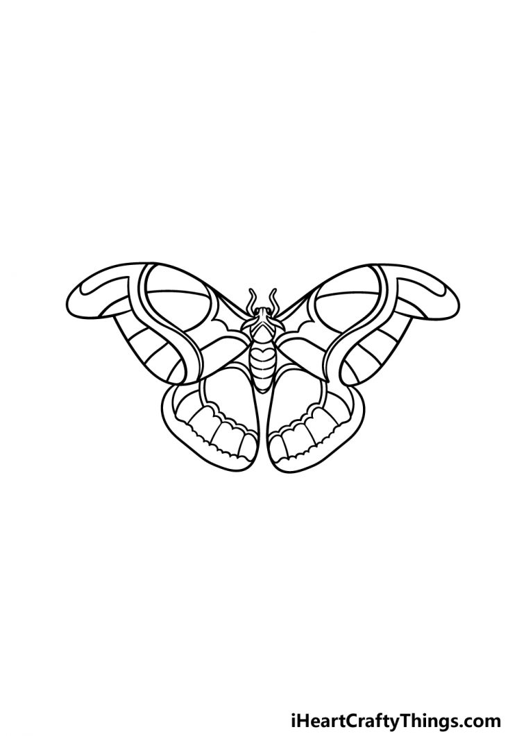 Moth Drawing - How To Draw A Moth Step By Step
