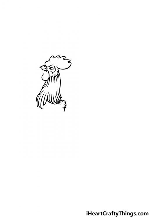 Rooster Drawing - How To Draw A Rooster Step By Step