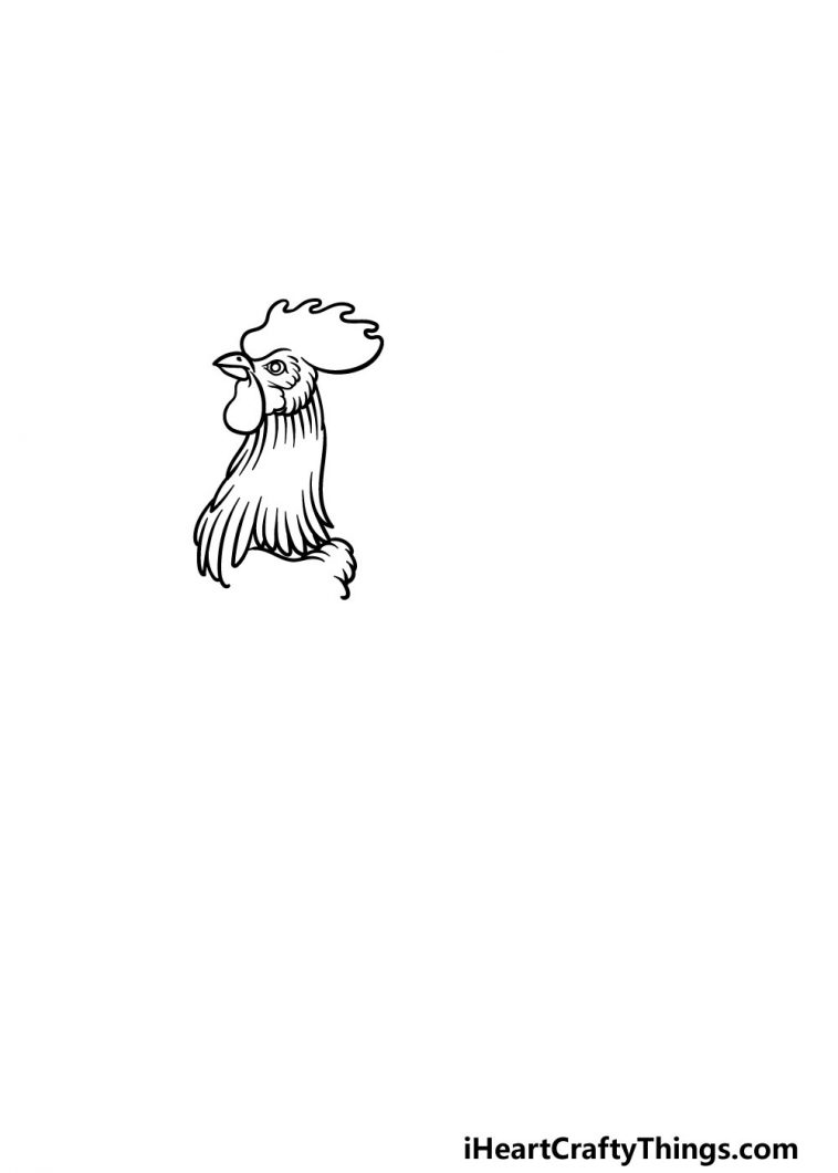 Rooster Drawing - How To Draw A Rooster Step By Step