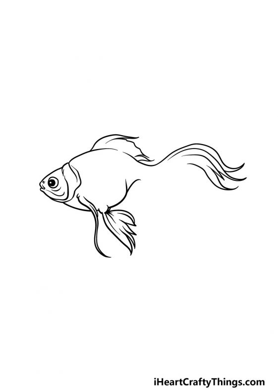 Goldfish Drawing - How To Draw A Goldfish Step By Step
