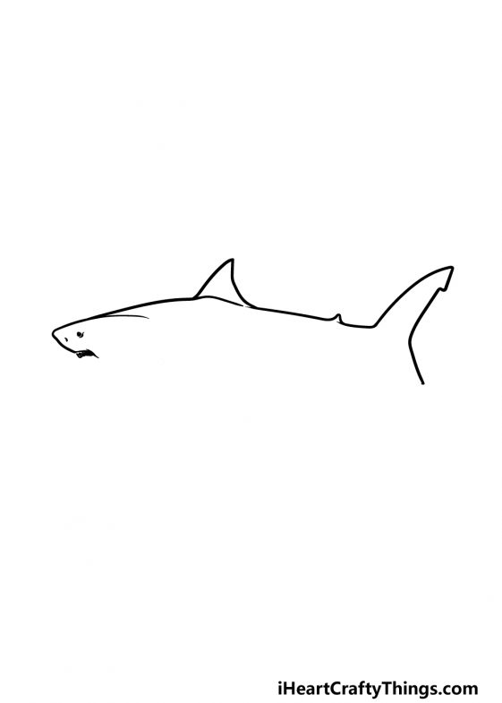 Megalodon Drawing - How To Draw A Megalodon Step By Step