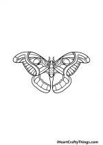 Moth Drawing - How To Draw A Moth Step By Step