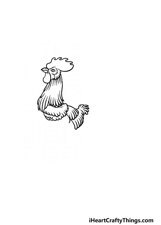 Rooster Drawing - How To Draw A Rooster Step By Step