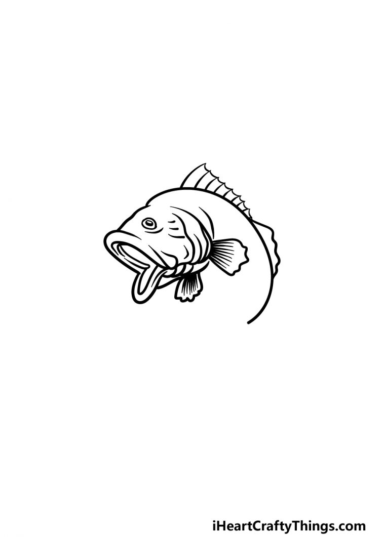 Bass Drawing - How To Draw A Bass Step By Step