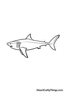 Megalodon Drawing - How To Draw A Megalodon Step By Step