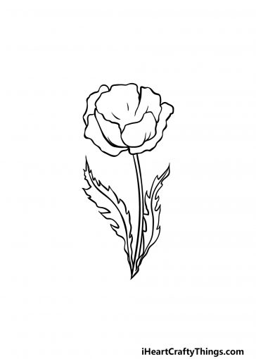 Poppy Drawing - How To Draw A Poppy Step By Step