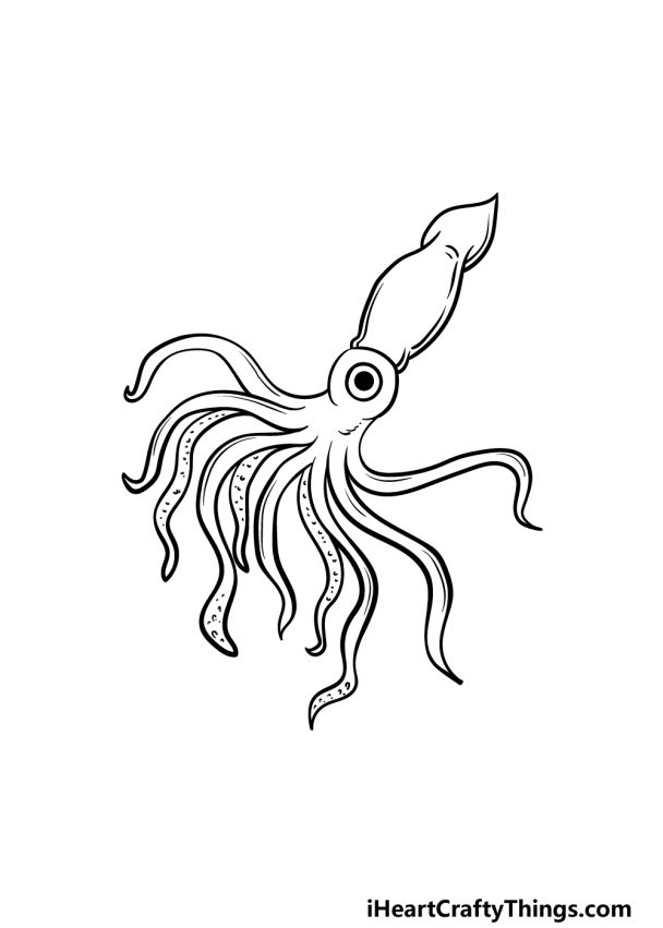 Squid Drawing - How To Draw A Squid Step By Step