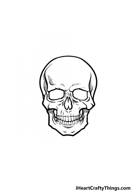 Skeleton Head Drawing How To Draw A Skeleton Head Step By Step