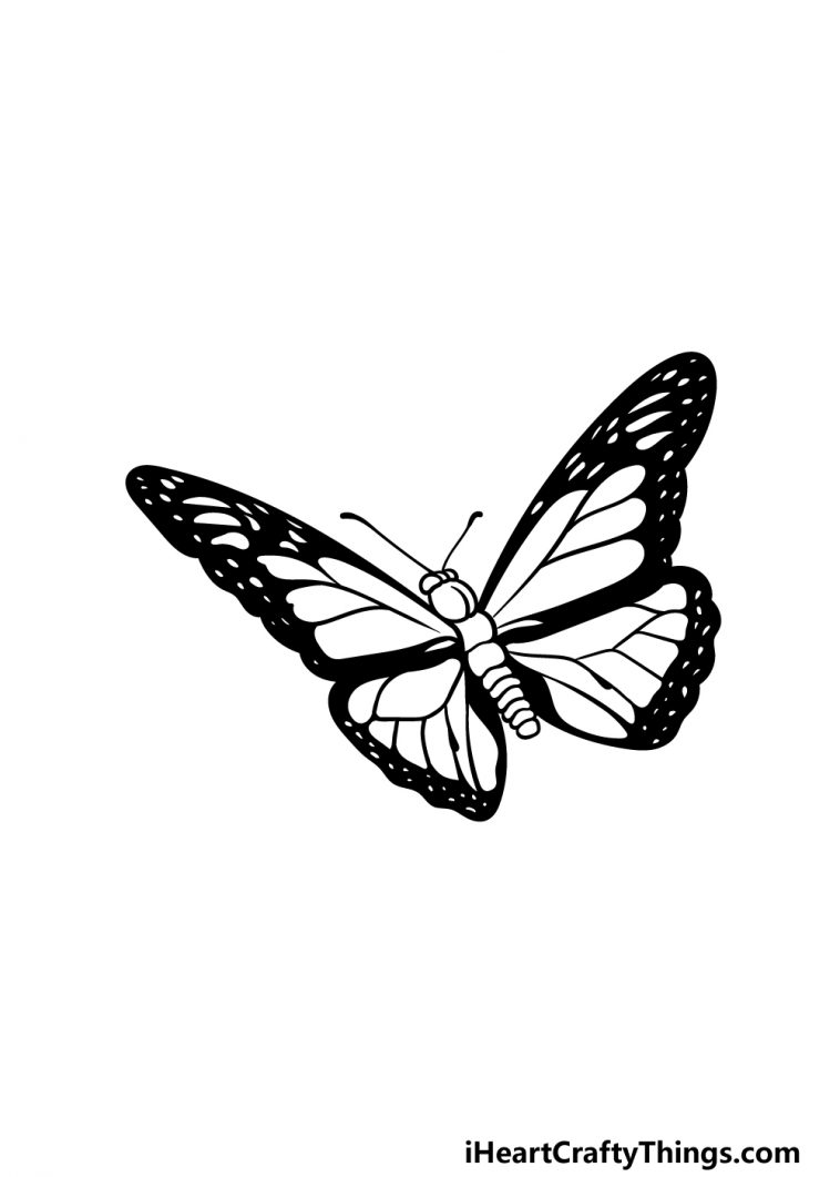 Monarch Butterfly Drawing - How To Draw A Monarch Butterfly Step By Step