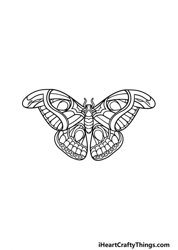 Moth Drawing - How To Draw A Moth Step By Step