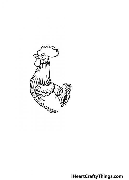 Rooster Drawing - How To Draw A Rooster Step By Step