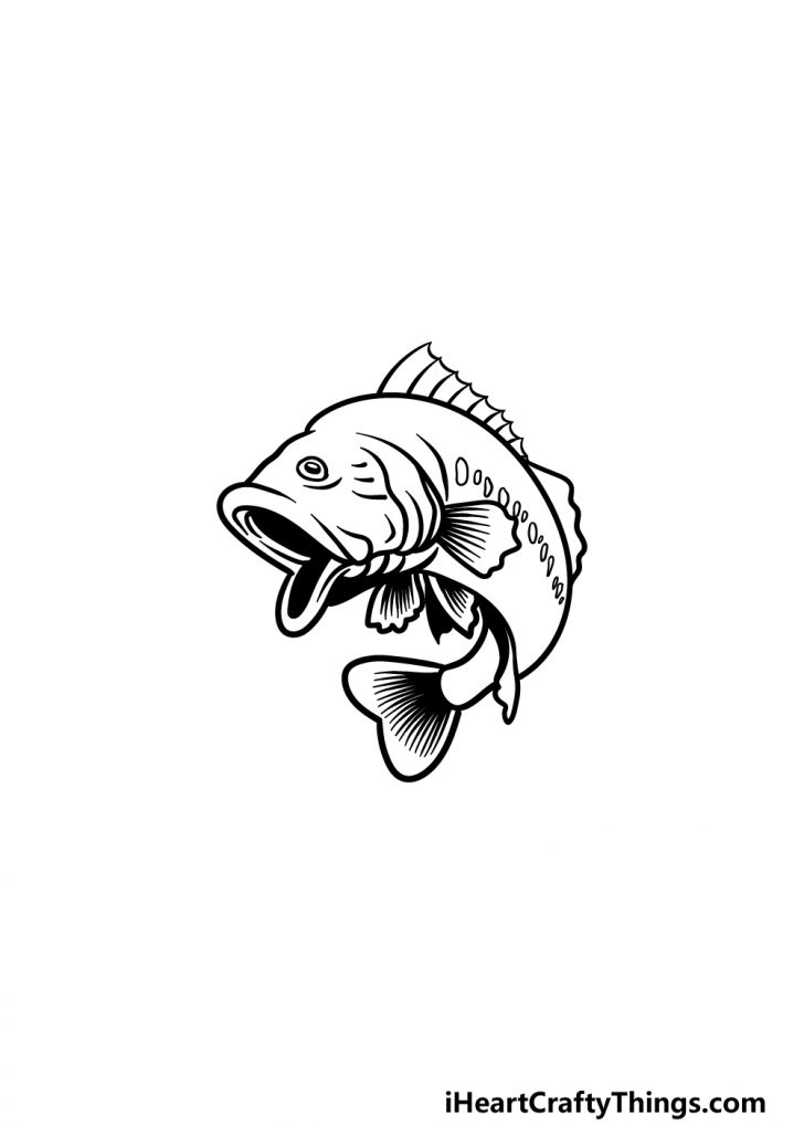 Bass Drawing - How To Draw A Bass Step By Step