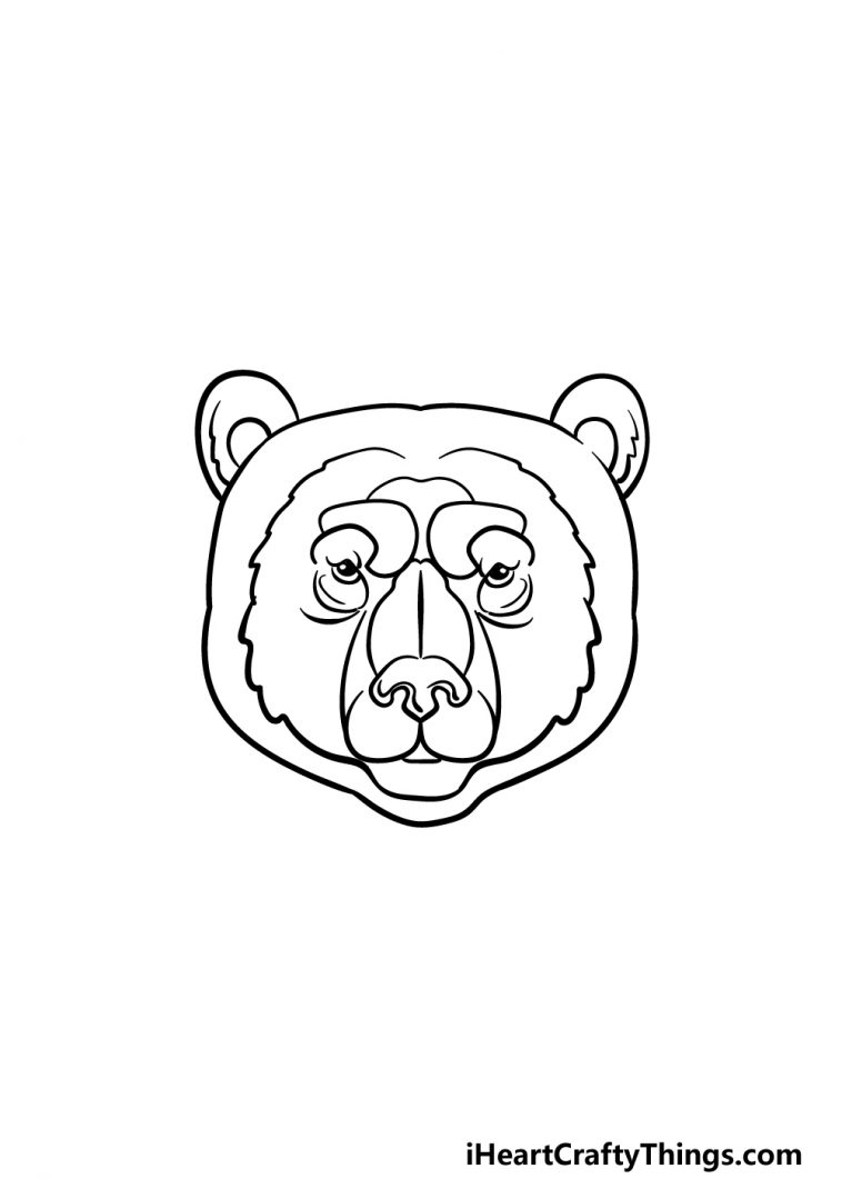 Bear Face Drawing - How To Draw A Bear Face Step By Step
