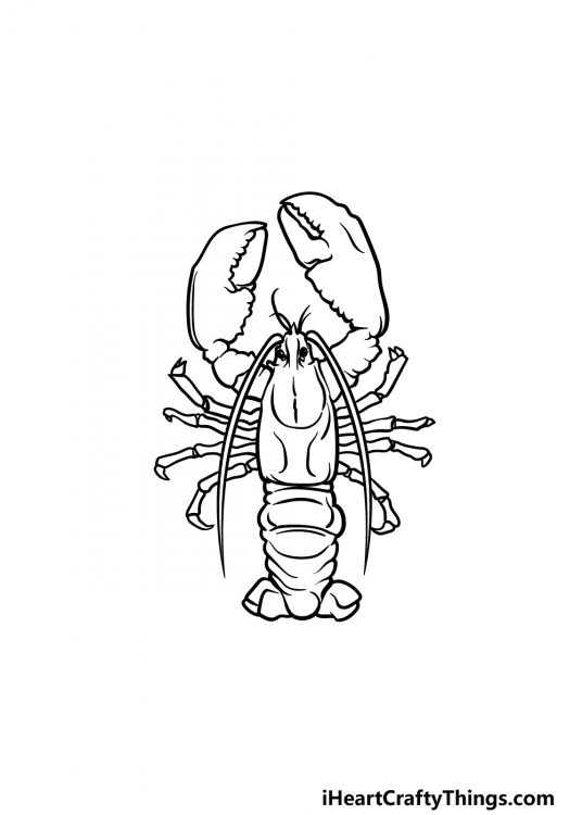 Lobster Drawing - How To Draw A Lobster Step By Step