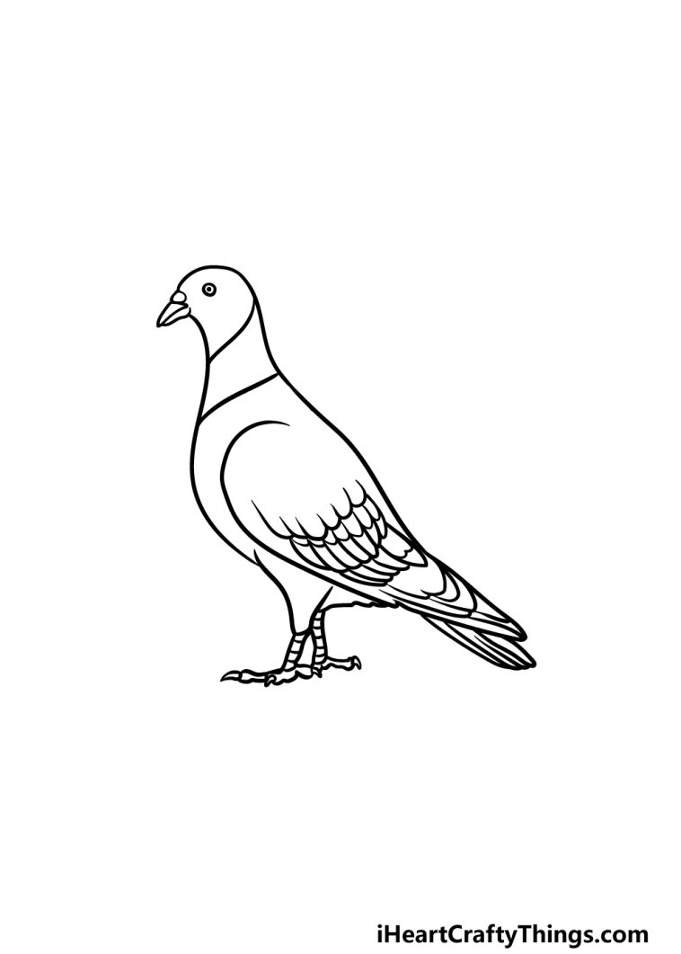 Pigeon Drawing - How To Draw A Pigeon Step By Step
