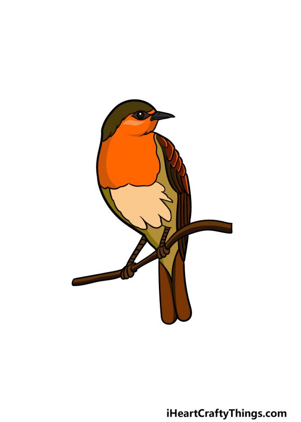 Robin Drawing - How To Draw A Robin Step By Step