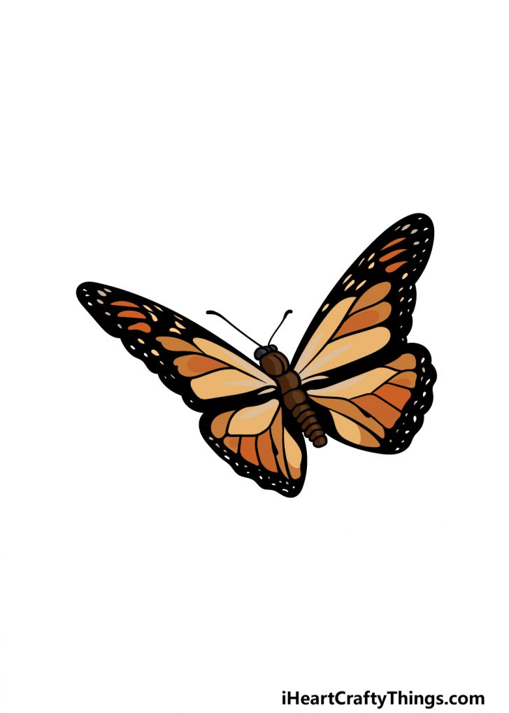 Monarch Butterfly Drawing - How To Draw A Monarch Butterfly Step By Step