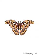 Moth Drawing - How To Draw A Moth Step By Step