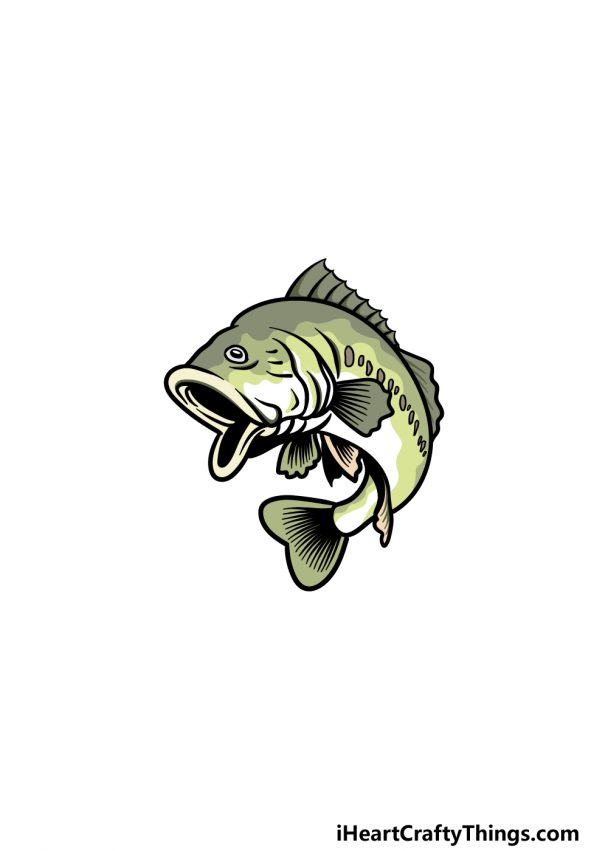 Bass Drawing - How To Draw A Bass Step By Step