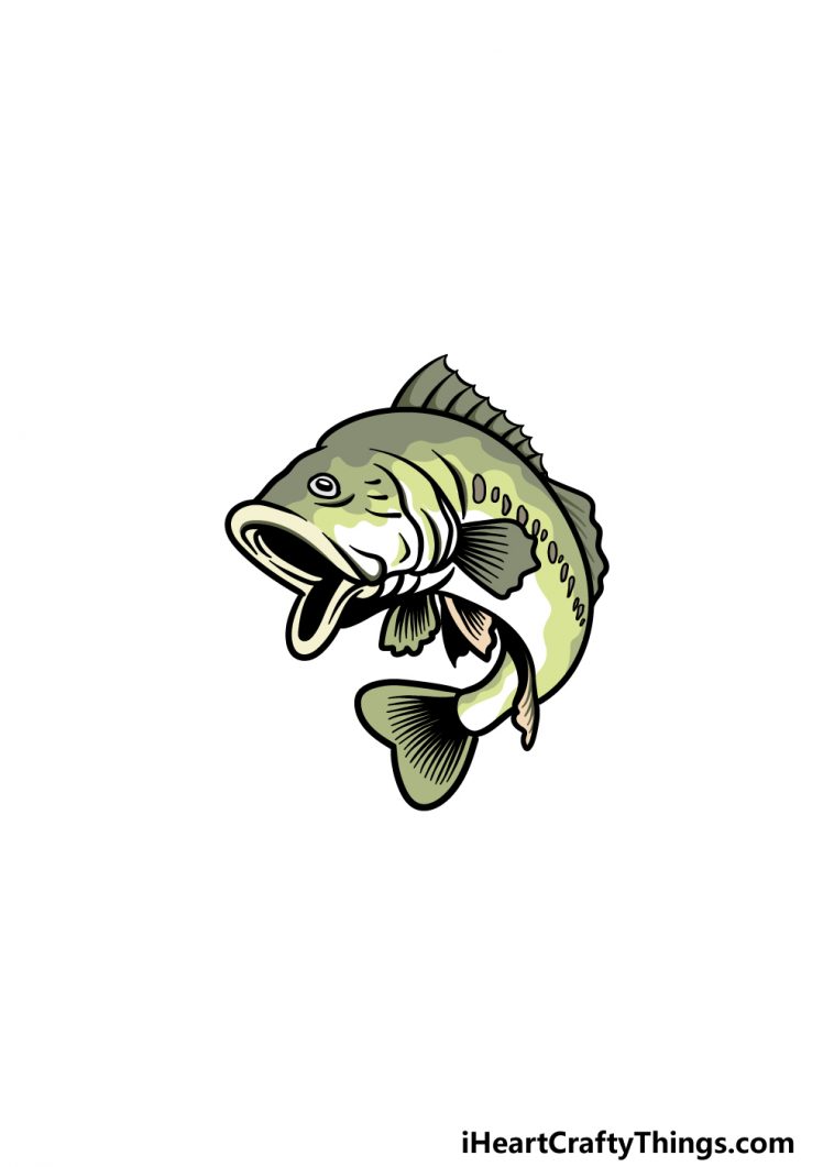 Bass Drawing - How To Draw A Bass Step By Step