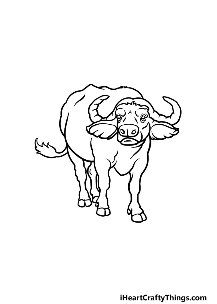 Buffalo Drawing - How To Draw A Buffalo Step By Step