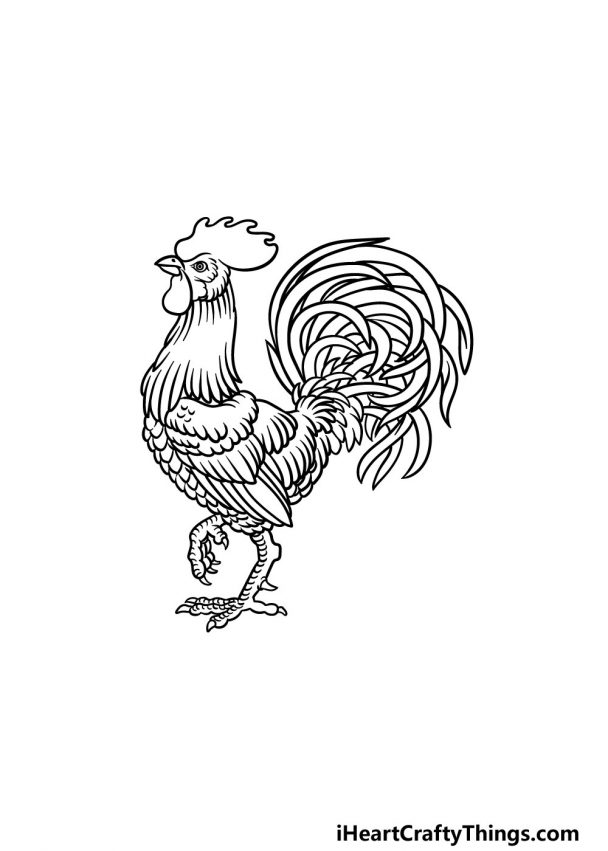 Rooster Drawing - How To Draw A Rooster Step By Step