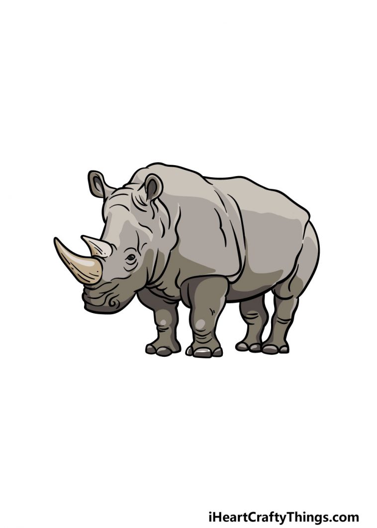 Rhino Drawing - How To Draw A Rhino Step By Step