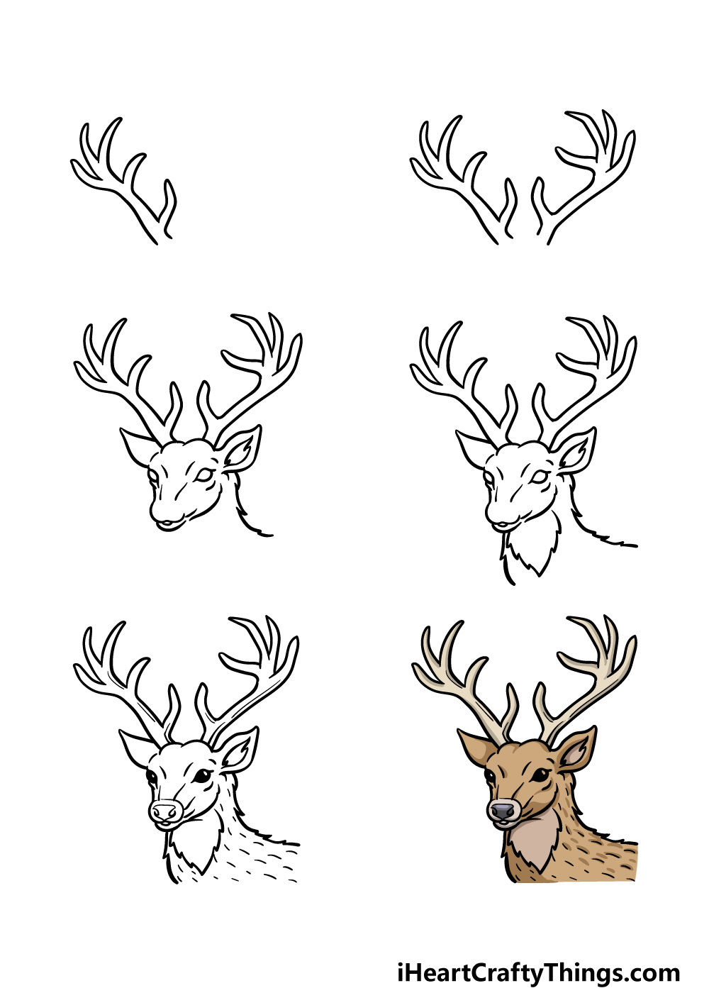 Easy How To Draw A Deer Head Grant Forga1954