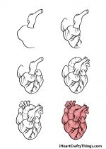 Human Heart Drawing - How To Draw A Human Heart Step By Step