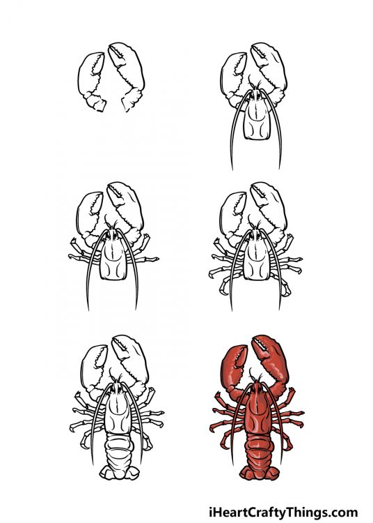 Lobster Drawing - How To Draw A Lobster Step By Step