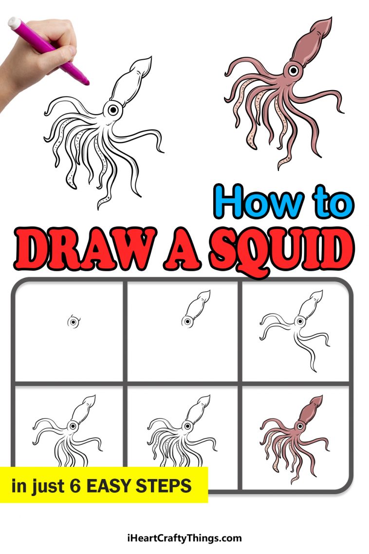 Squid Drawing - How To Draw A Squid Step By Step