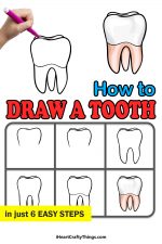 Tooth Drawing - How To Draw A Tooth Step By Step