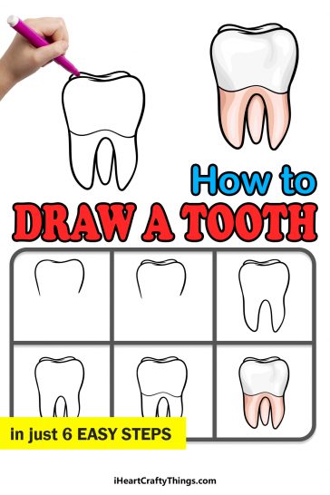 Tooth Drawing - How To Draw A Tooth Step By Step