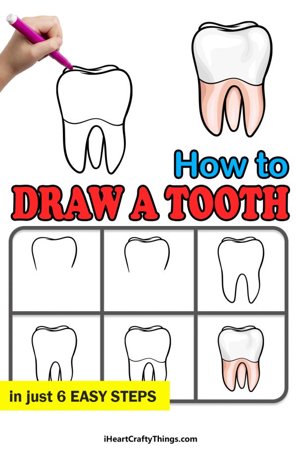 Tooth Drawing - How To Draw A Tooth Step By Step