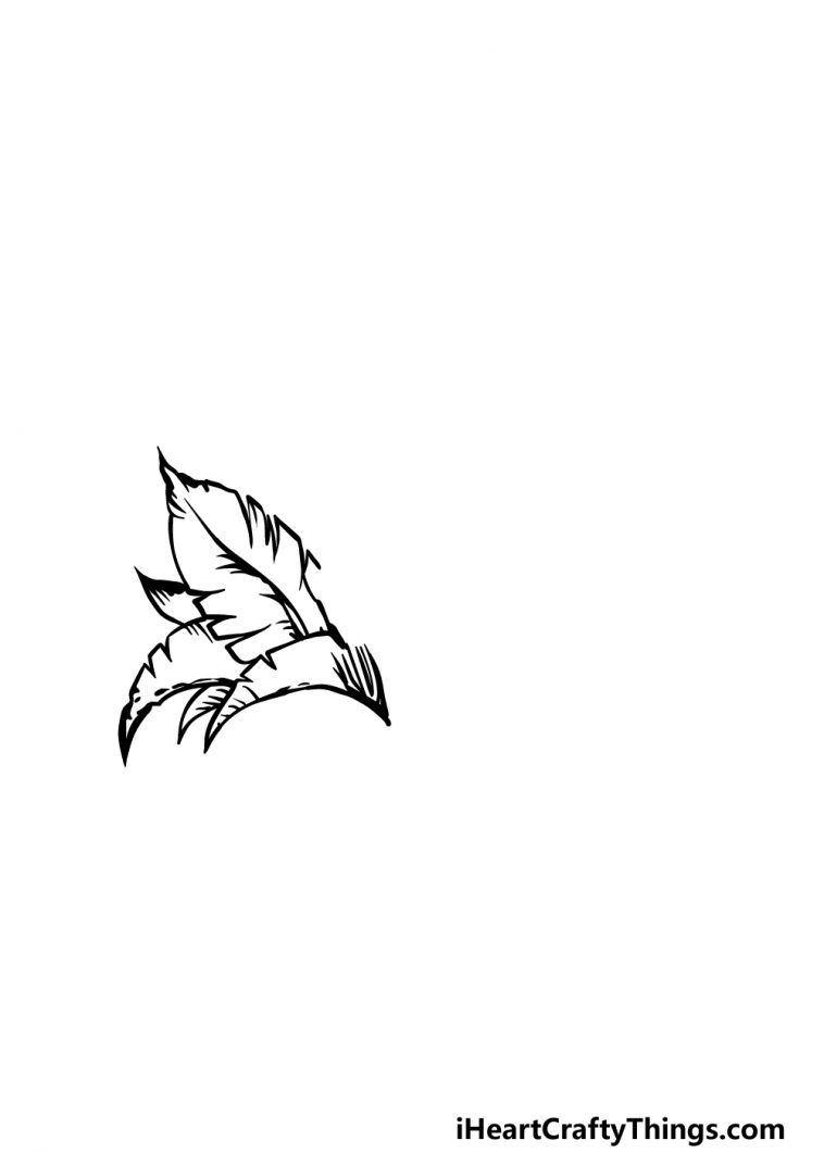 Bush Drawing - How To Draw A Bush Step By Step