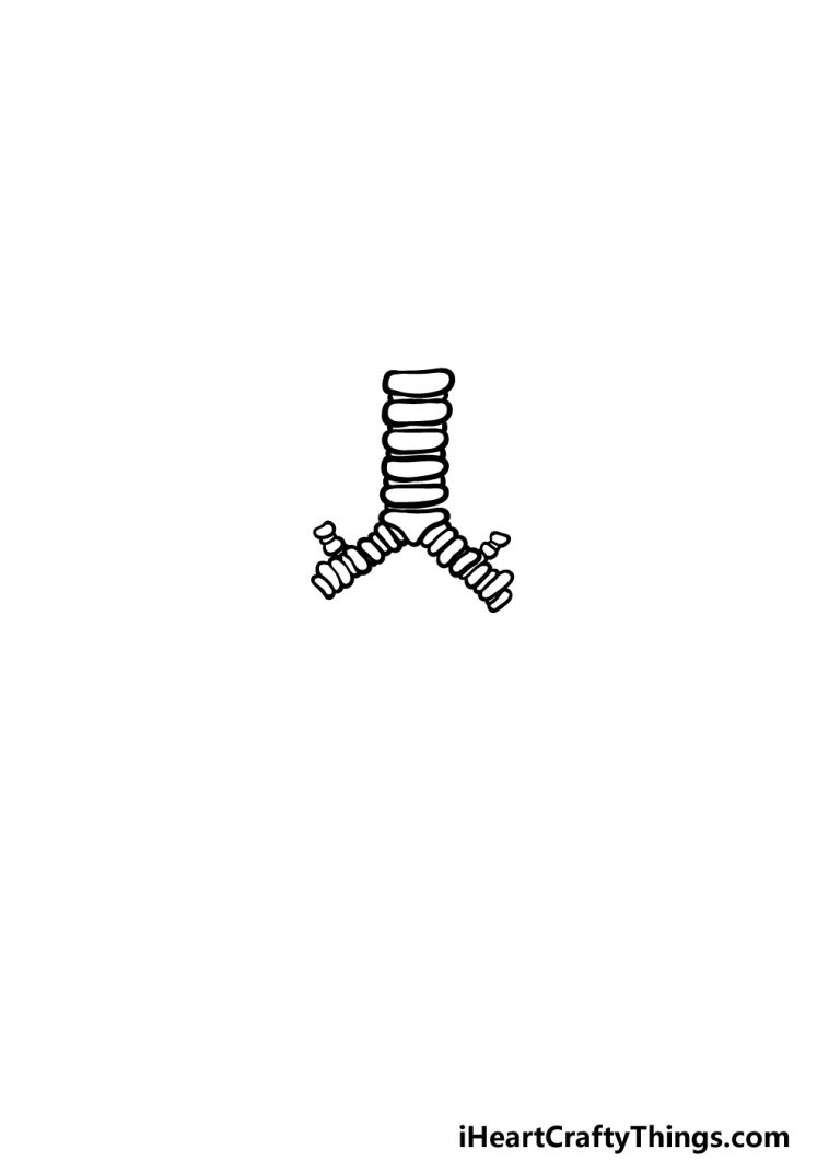 Lungs Drawing - How To Draw Lungs Step By Step