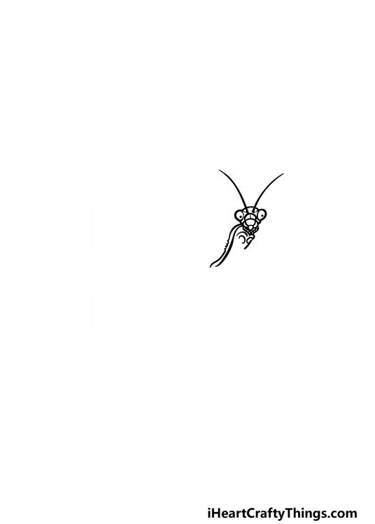 Insect Drawing - How To Draw An Insect Step By Step