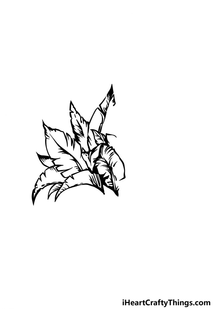 Bush Drawing - How To Draw A Bush Step By Step