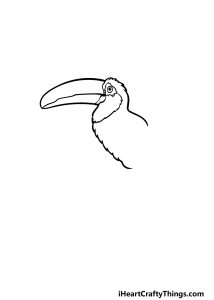 Toucan Drawing - How To Draw A Toucan Step By Step
