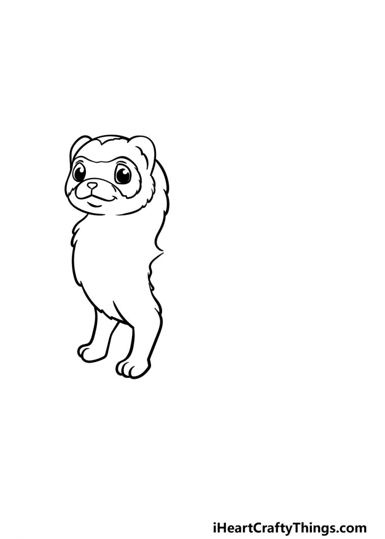 Ferret Drawing - How To Draw A Ferret Step By Step