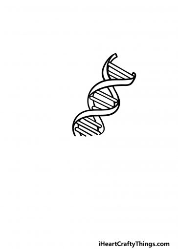 DNA Drawing - How To Draw DNA Step By Step