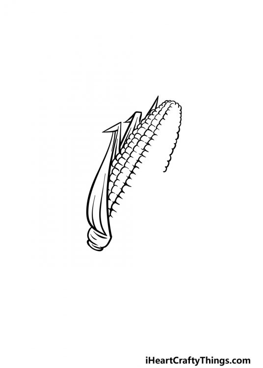 Corn Drawing - How To Draw Corn Step By Step