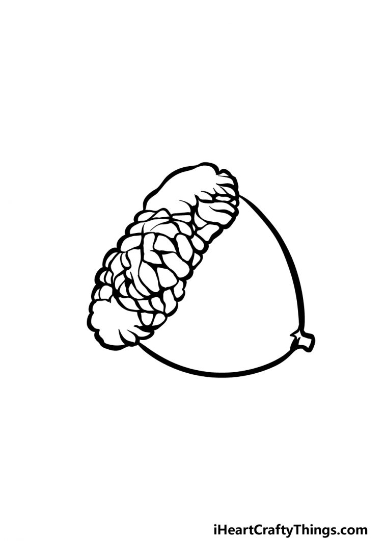 Acorn Drawing - How To Draw An Acorn Step By Step