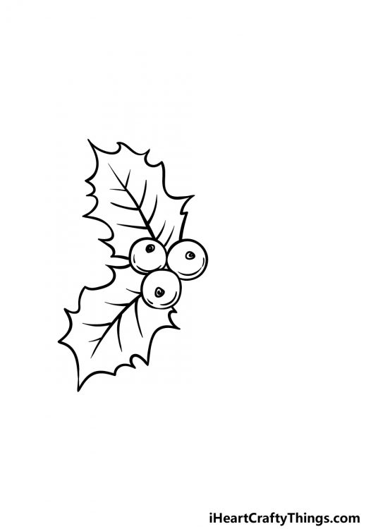 Holly Drawing - How To Draw A Holly Step By Step