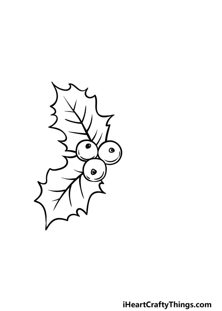 Holly Drawing - How To Draw A Holly Step By Step