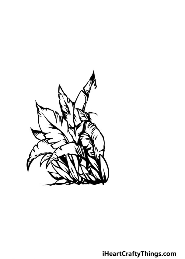 Bush Drawing - How To Draw A Bush Step By Step