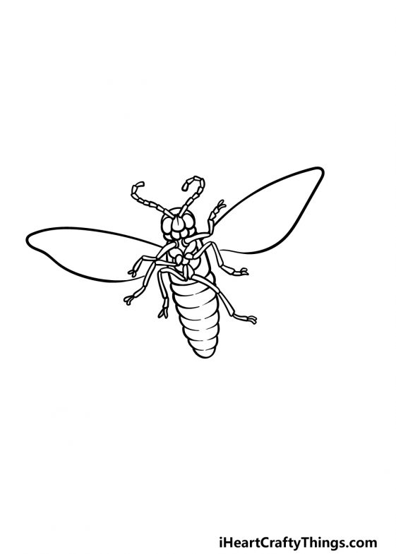Firefly Drawing - How To Draw A Firefly Step By Step
